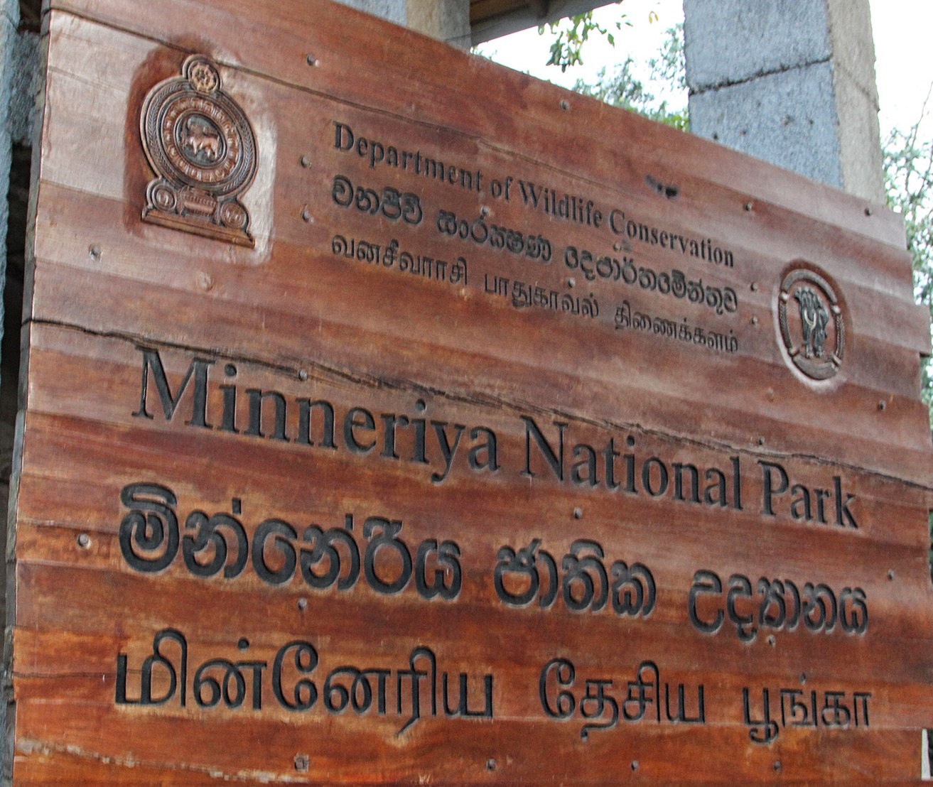 Minneriya Safari – Minneriya National Park