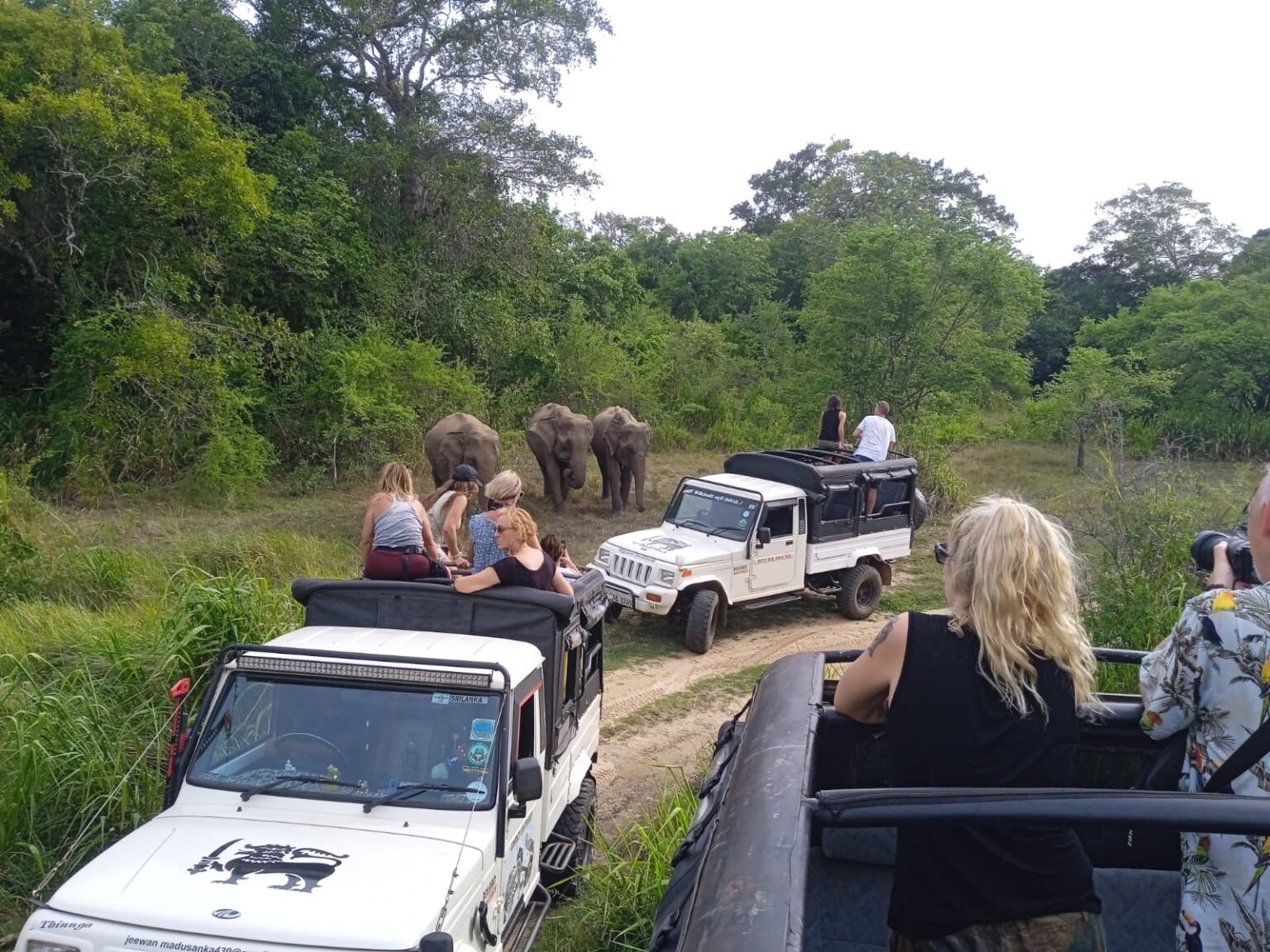 Hurulu Park Half Day Safari | Habarana Halfday Safari